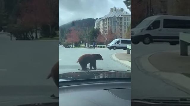 Очень быстрый ямочный ремонт ....mp4