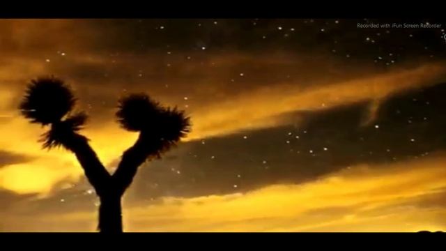 ЖИЗНЬ МГНОВЕНИЕ.avi