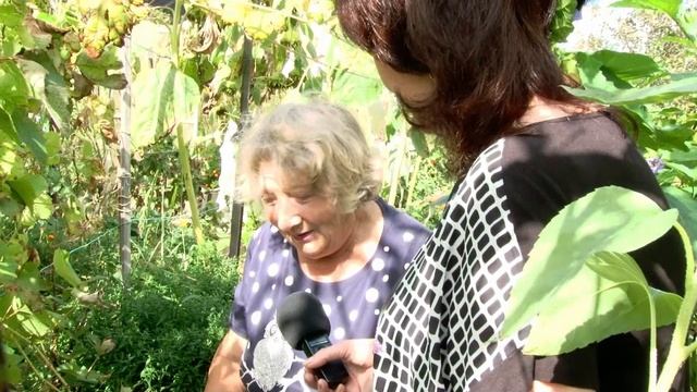 В гостях у Эрики Георгиевны Тереховой. Часть 2. Ягодники.