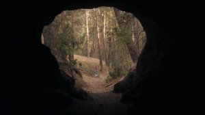 Dark.S02E02