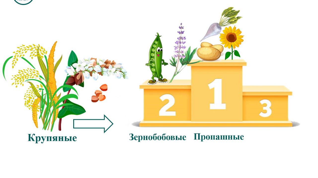 Севооборот - Видео №4