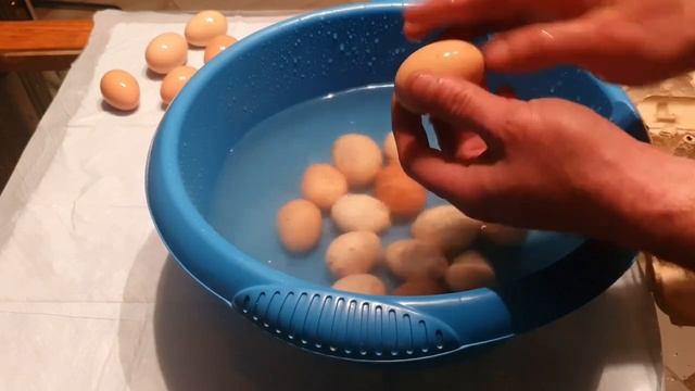 Мыть или не мыть яйца перед инкубацией.mp4