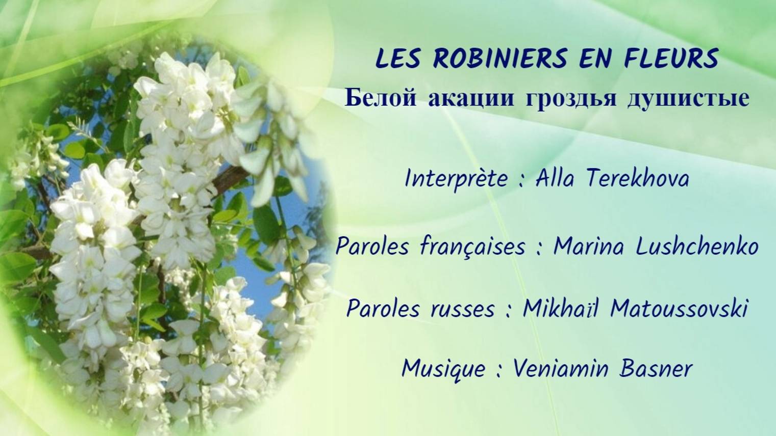 LES ROBINIERS EN FLEUR (chanson russe en français) – БЕЛОЙ АКАЦИИ ГРОЗДЬЯ ДУШИСТЫЕ (на французском)
