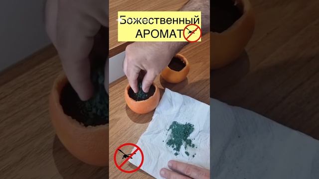 Нереальный аромат кофе. Плюс избавляемся от моли, Комаров и прочие мушек.