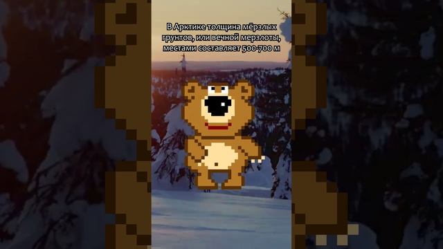 Мишка и вечная мерзлота.