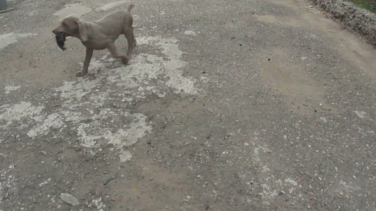 Ладушке 2 мес