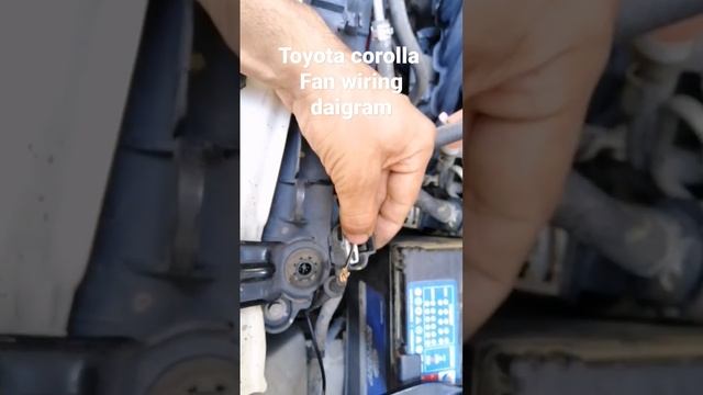 Toyota corolla 2018 radiator Fan wiring daigram
