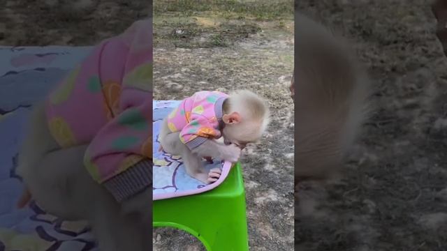 ? КИТАЙ НАПАЛ НА США! // УКРАИНА ПРИМЕНИЛА ХИМ. ОРУЖИЕ // ДУДЬ ВЕРНУЛСЯ - [ЧЗП #39]