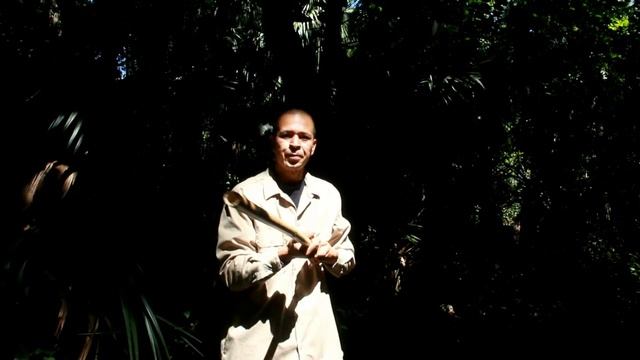 How to Fight with [SIBAT] Filipino BO-STAFF Striking & Trapping pt1.mp4