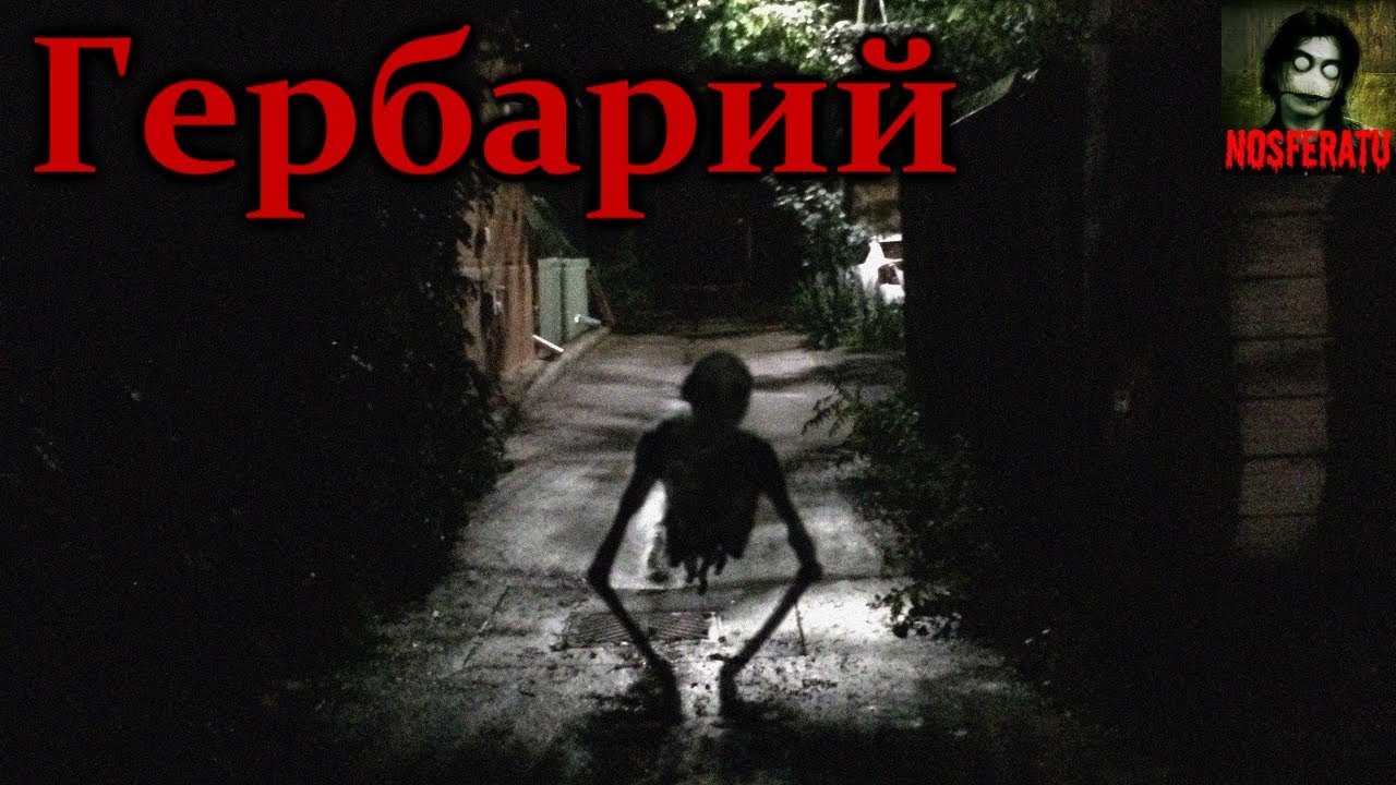 Гербарий - Сборник страшных историй. Часть 3. Страшные истории на ночь. Страшилки на ночь.mp4