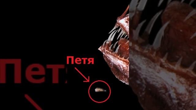 Удильщик
