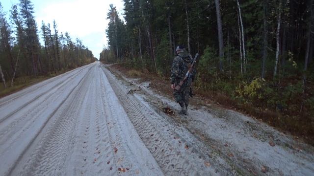 Территория Свободы | ХМАО | Прогулка по тайге с ночевкой в избе, охота на рябчика и глухаря...
