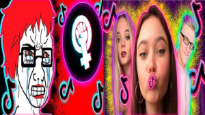 ФЕМИНИСТКИ В ТИК ТОК 4 (СБОРНИК)