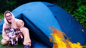 24 ЧАСА ЧАСА В ПАЛАТКЕ с собаками! Что с Юми случилось? Моемся в реке, выживаем в лесу с питомцами