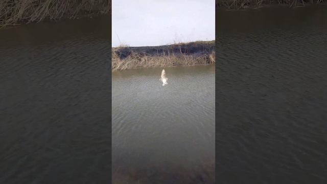 Придётся ждать тепла, а то рыба не ловится