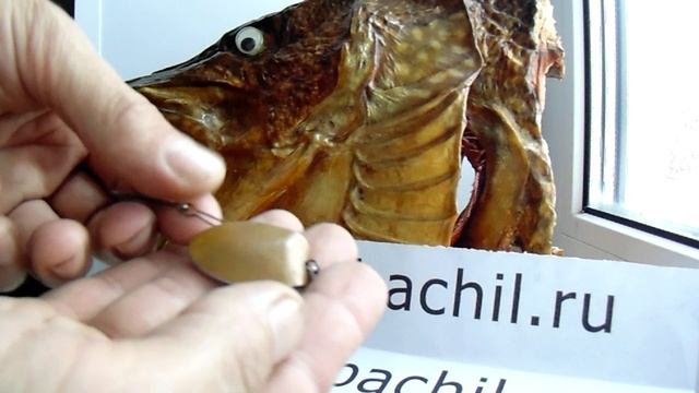 Вертушка ,советская блесна Трофимова.видео rybachil.ru .MP4