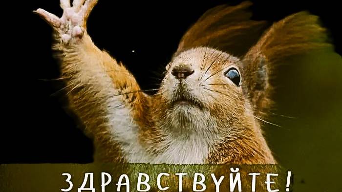 MudRunner- ночной(без микро) запись стрима-3