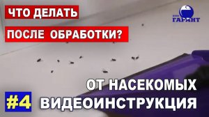 Что делать после обработки помещения от насекомых? ВИДЕОИНСТРУКЦИЯ