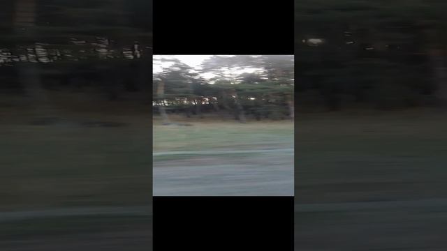 1 мая, дорога в Чемал.mp4