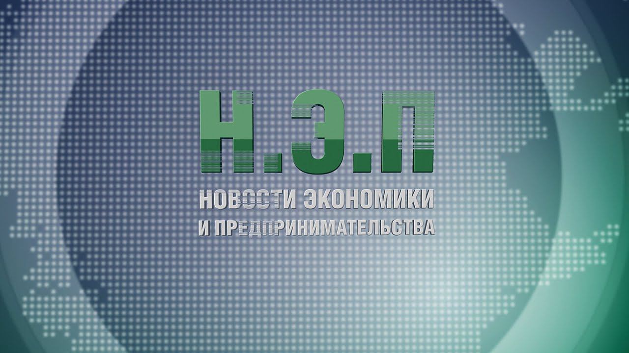 Стартапы без начального капитала. НЭП 10.04.23