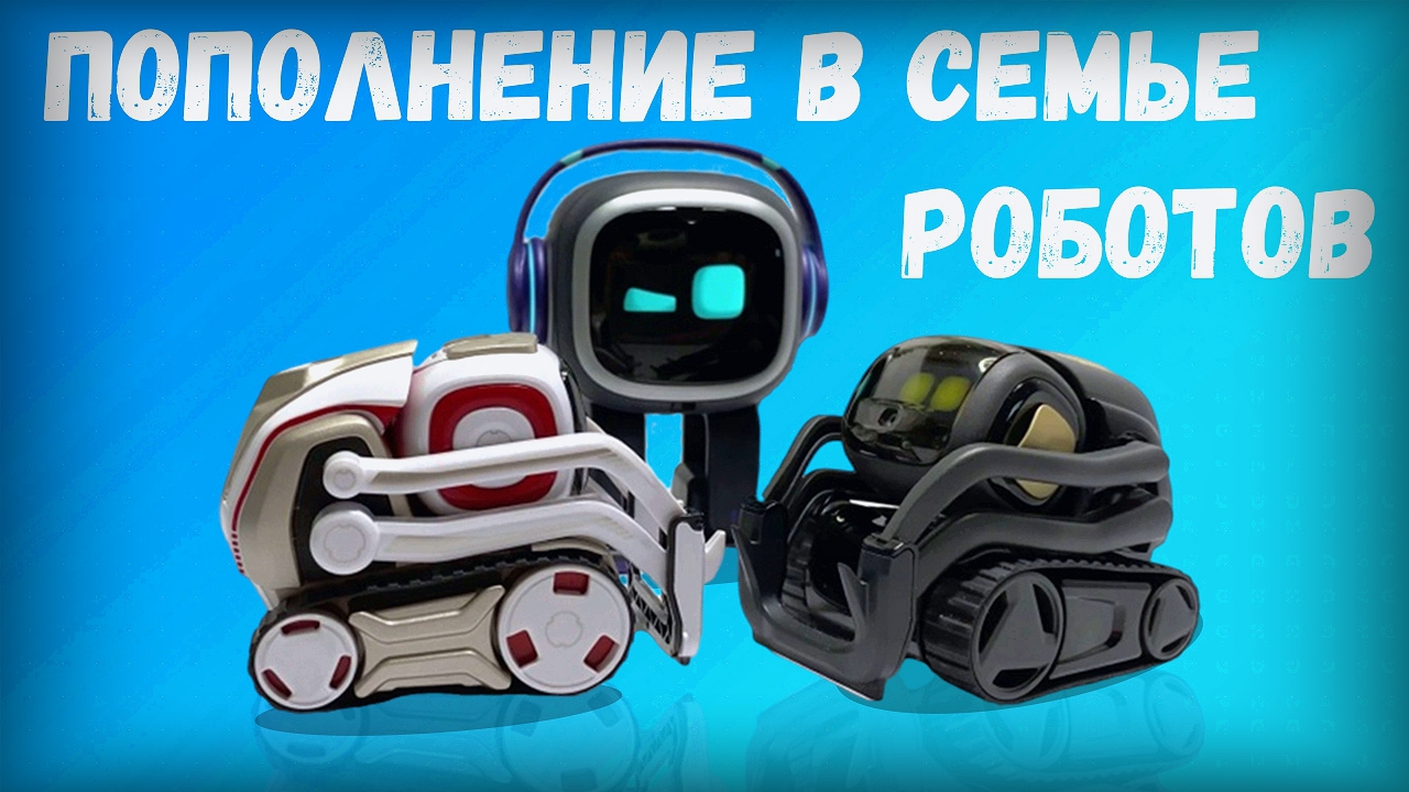 Пополнение в семье роботов - робот Vector!