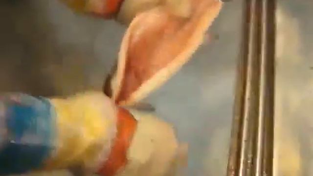 Установка для зачистки кровяной почки и мойки рыбы