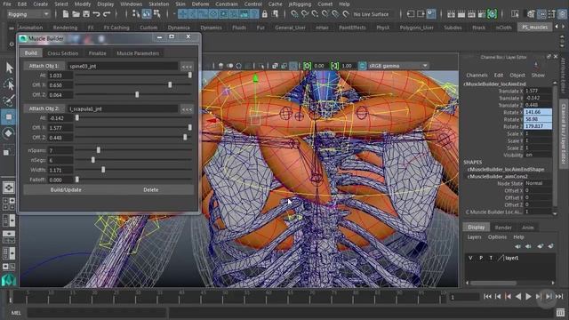 02 15 Finishing Trapezius Muscles