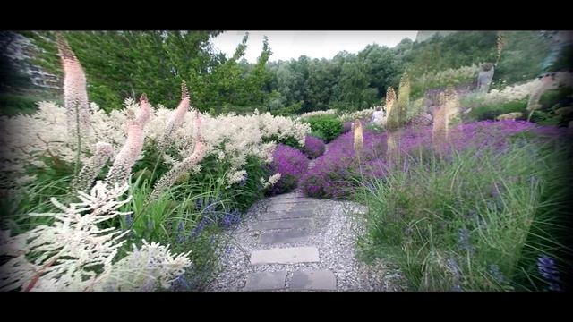 Астильба_слайд-шоу.mp4