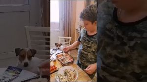 Готовлю пиццу.Пж подпишитесь на мой телеграмм канал там результат.