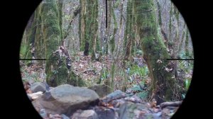 Операция "Последний рубеж"  /  Страйкбол в Сочи #airsoft