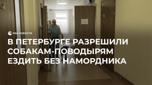 Суд Петербурга разрешил собакам-поводырям ездить в метро без намордника