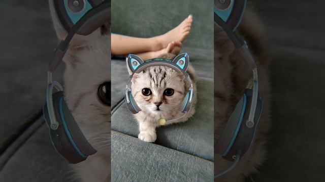 1000029956.mp4