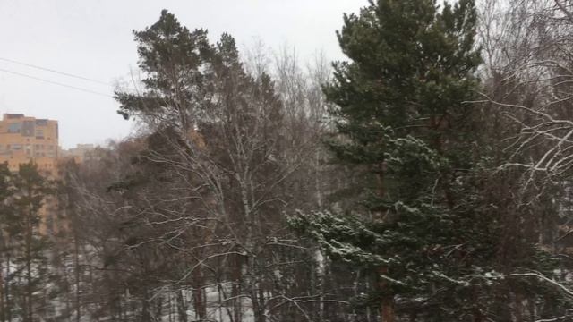 БЕЛАЯ ЗАРЯ на Терешковой