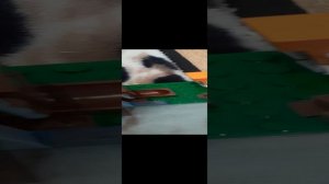 Как трудно быть шпионом