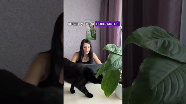 2 основных момента в питании