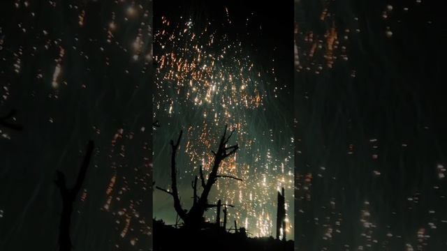 Ночь у чубатых будет веселой.