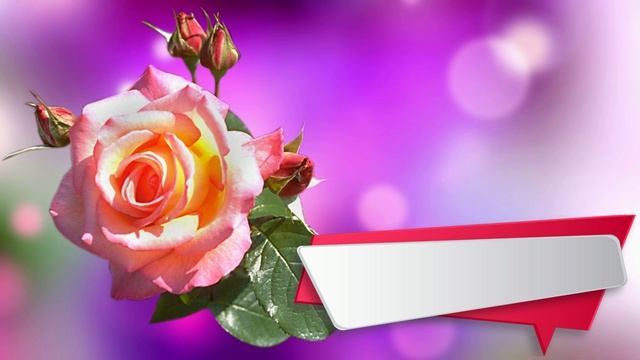 Футаж. Фон для надписи 95