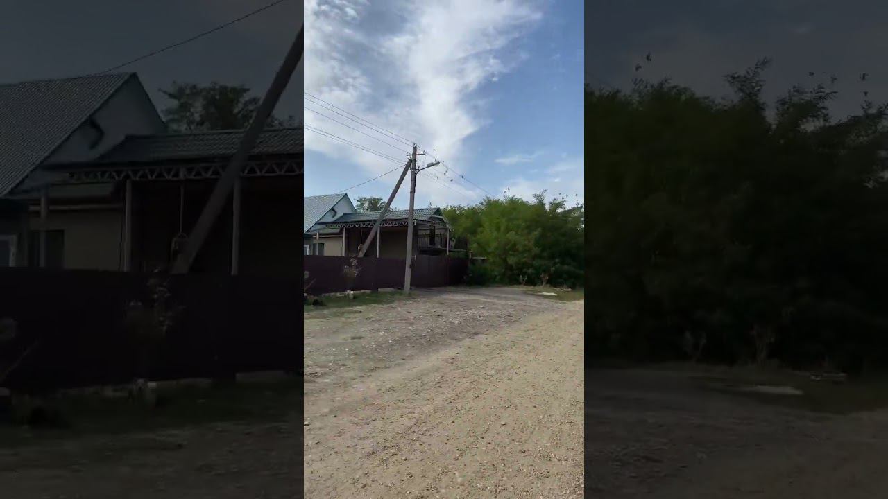 Спортивные Голуби(почта)️️️ «полет домой»