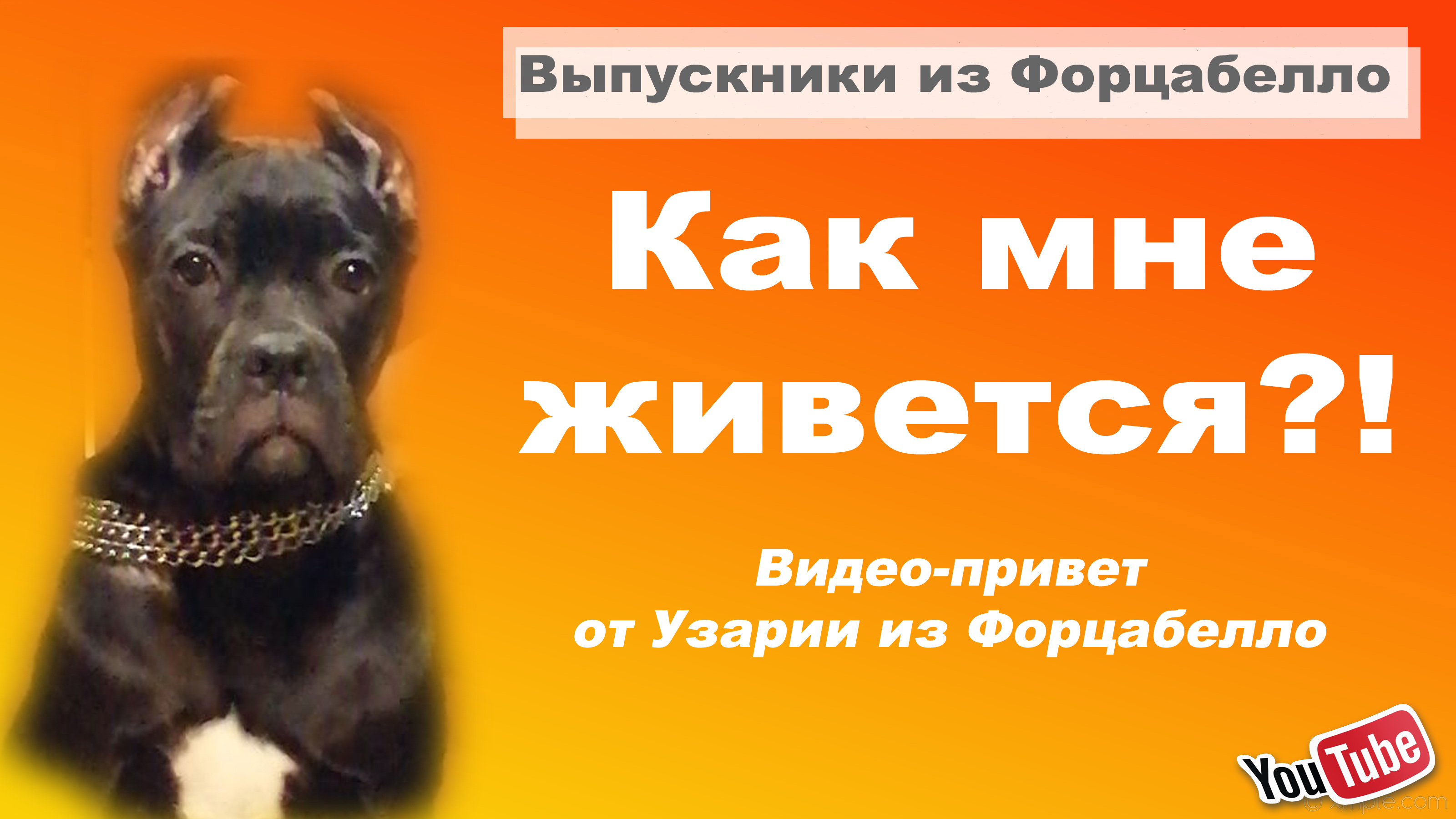 Как мне живется?! Видео привет от Узарии из Форцабелло
