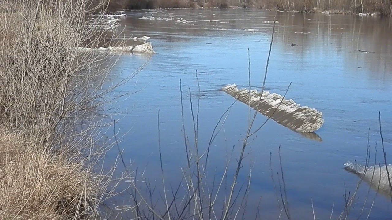 ледоход -2 день