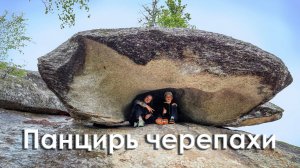 панцирь черепахи