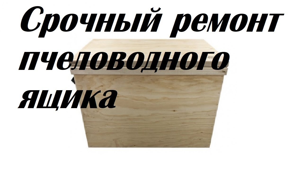 Срочный ремонт пчеловодного ящика