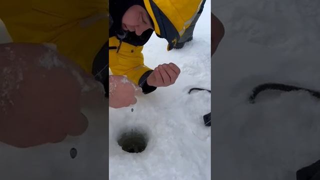 Зимняя рыбалка гостей Розовой дачи