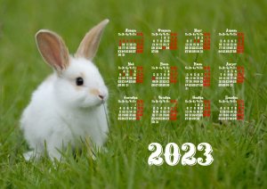 ВОЛШЕБНЫЙ ПЕРИОД с 22.01.23. по 04.02.23. ЭНЕРГИИ 7 ДНЯ.