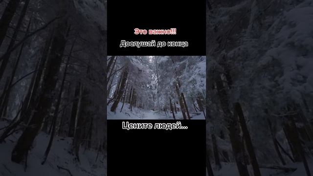 13-12-2023 Цените людей...