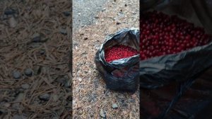Поехал я на на рыбалку, но не доехал....Карпинск