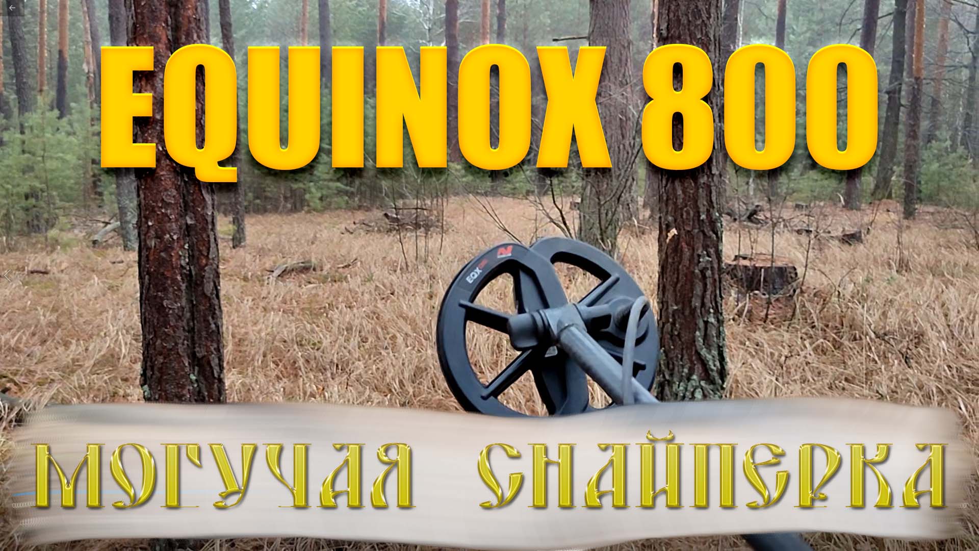 Тест на полигоне - Minelab Equinox 800 (6" DD Smart Coil)