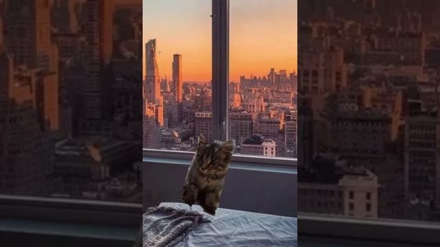маргоша и Кевин 2сезон 1серия