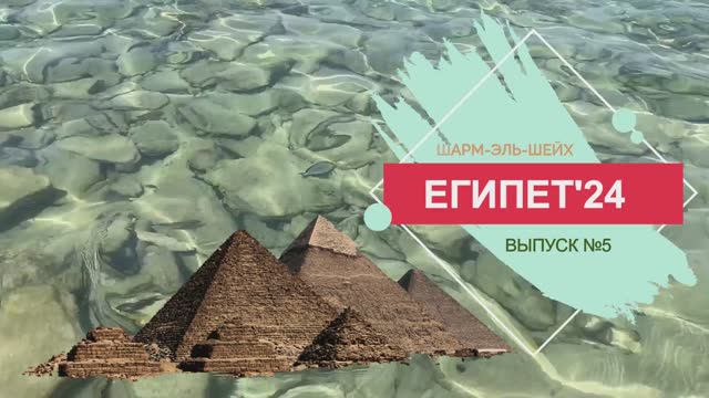 Шарм-Эль-Шейх.Июль2024.Чилим в отеле и едем Наама Бэй