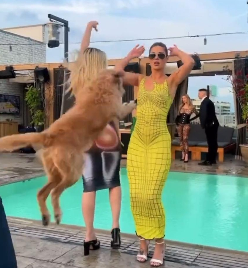 Первая, на выход. Подборка смешного видео №7